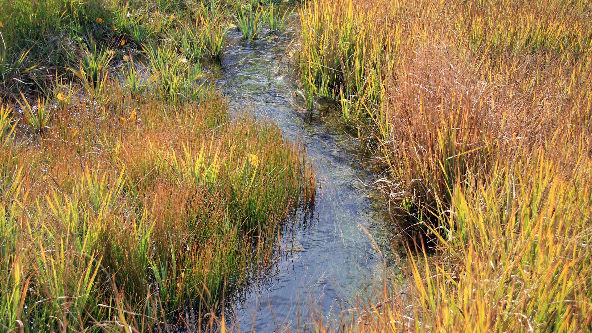 Revised WOTUS Rule Released, Falls Short of Supreme Court’s Directives ...