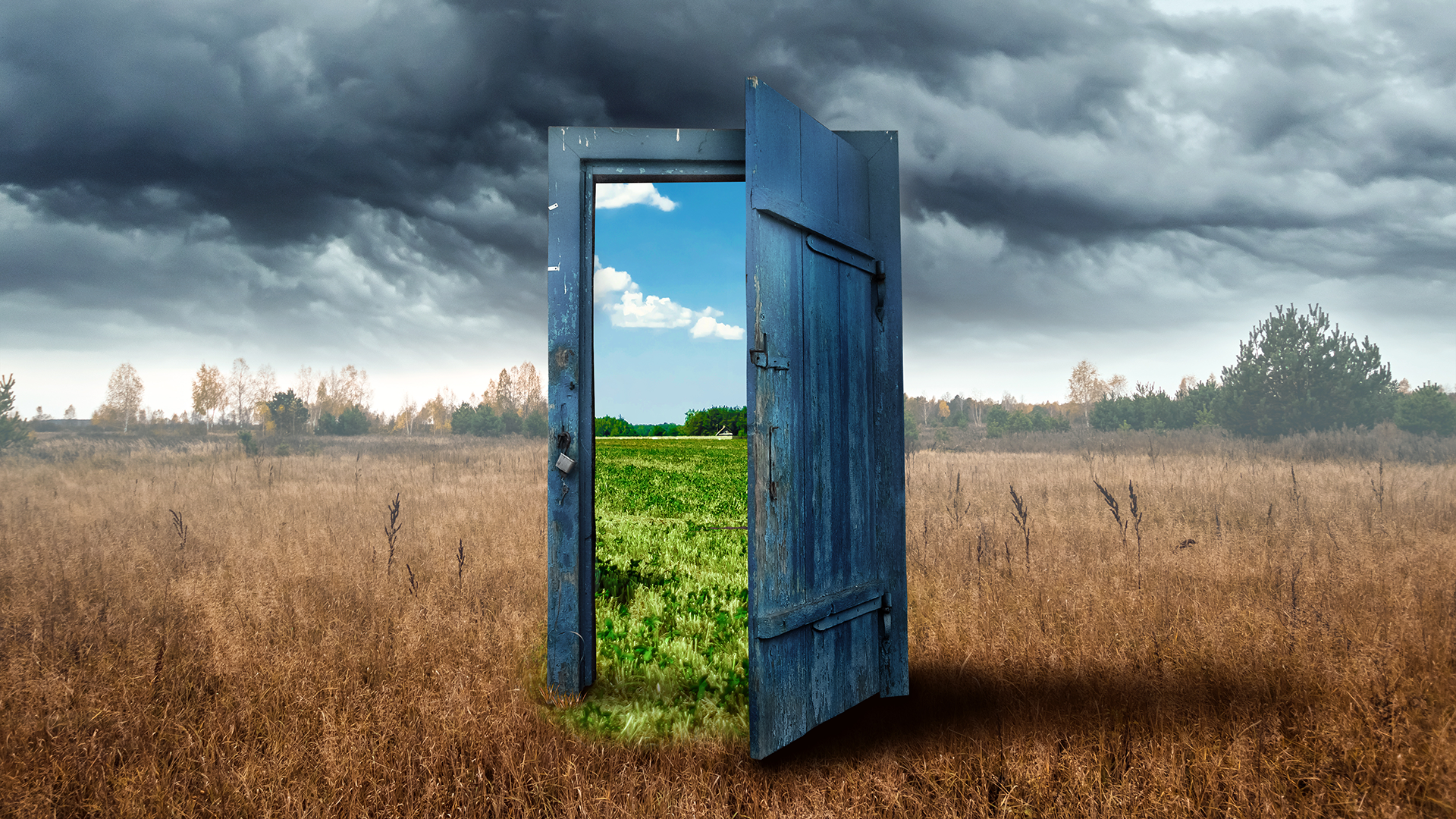 Bank of America Report Reveals Small Business Owners’ Optimism and ...