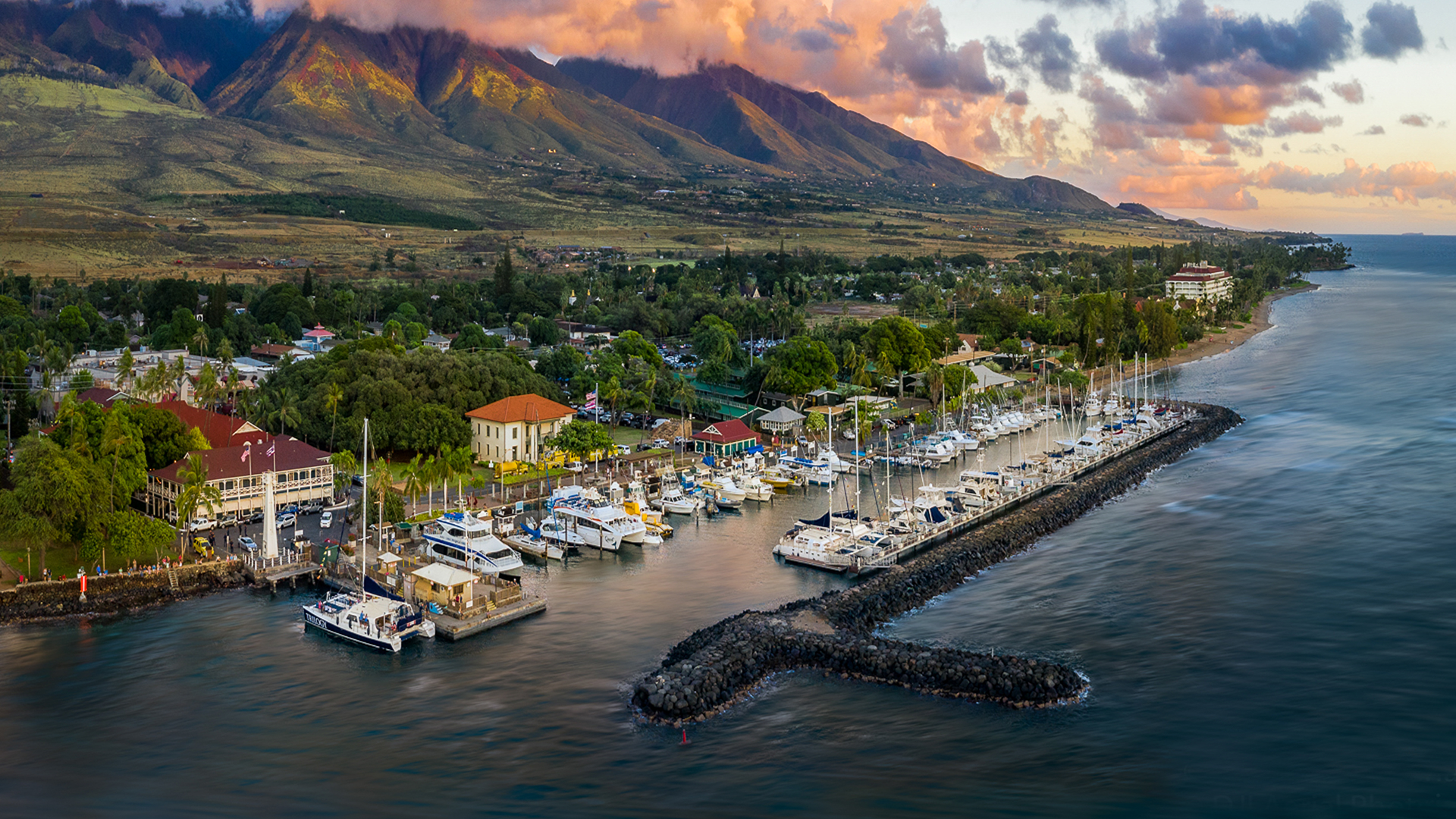 Maui Disaster: Marketplaces Industry Response and How to Help | ICSC