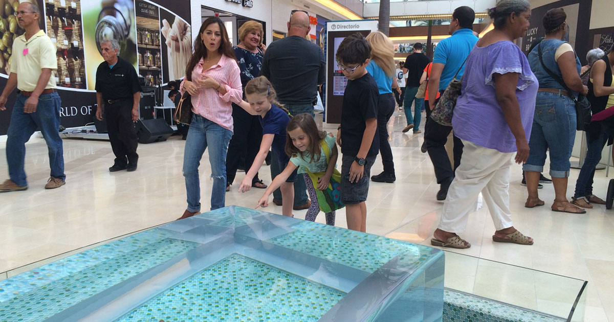 Puerto Rico's Mall of San Juan on the mend | ICSC